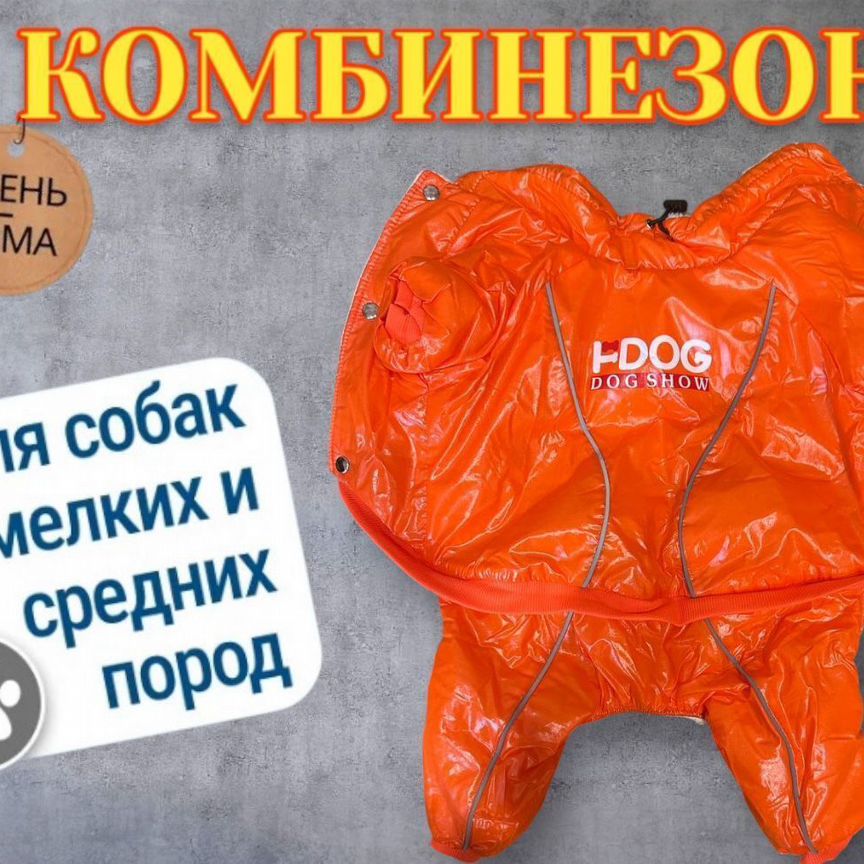 Одежда для собак