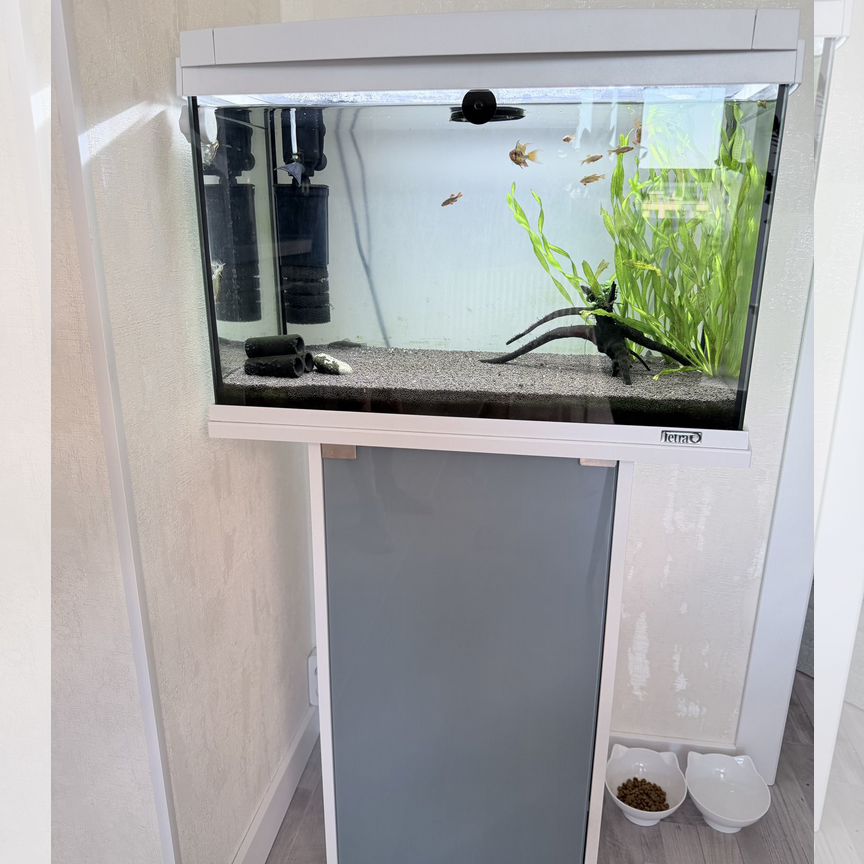 Аквариум с тумбой Tetra 60 л