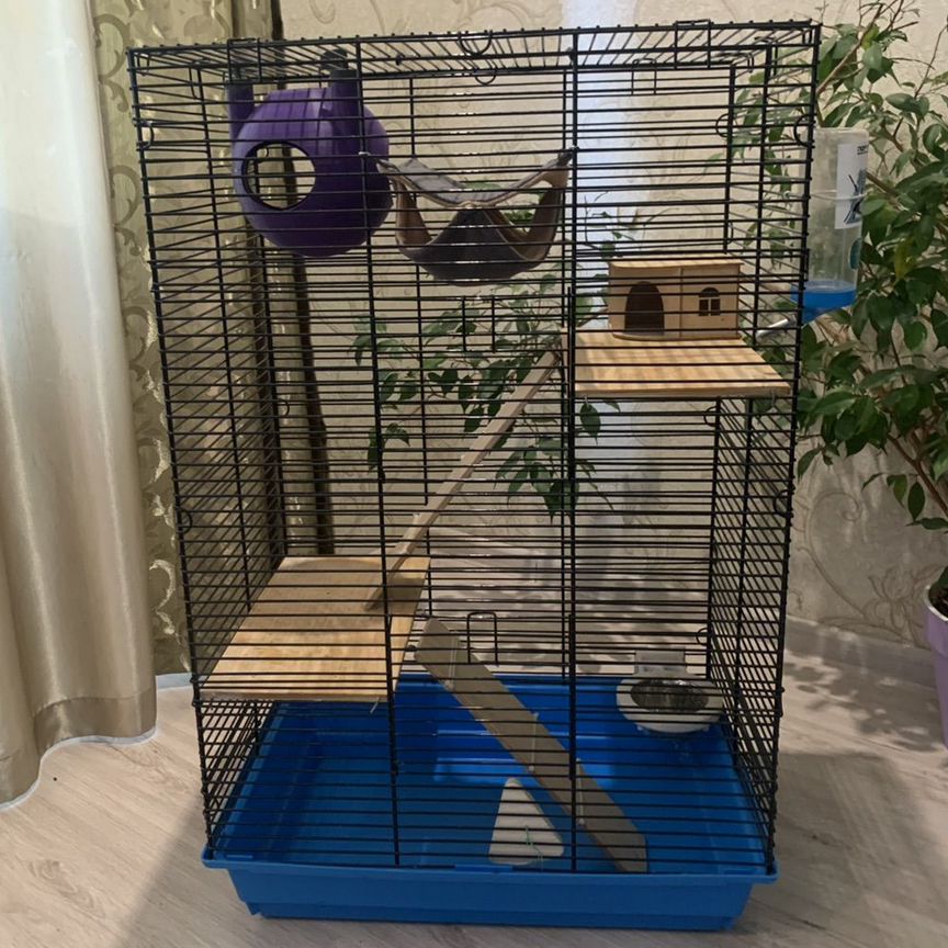 Клетка для крыс