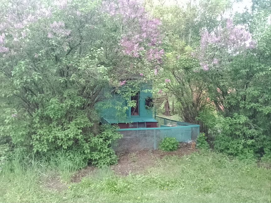 Голубятня для голубей