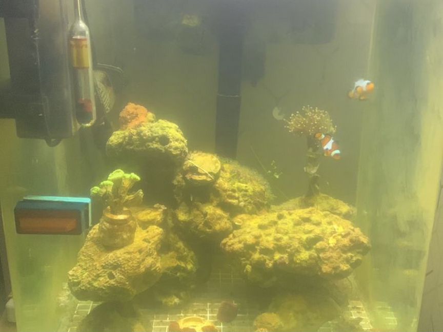 Морской аквариум