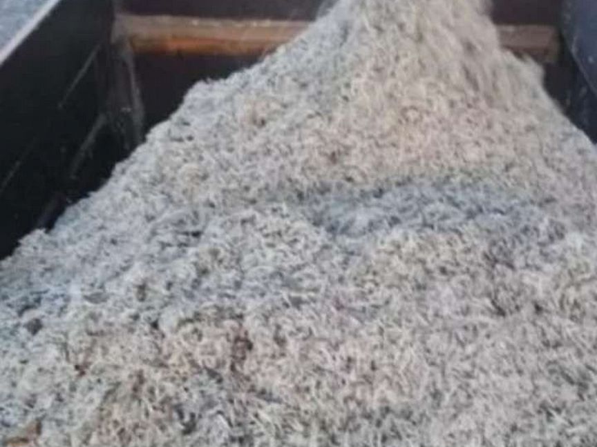 Жом свекловичный(хвостики )