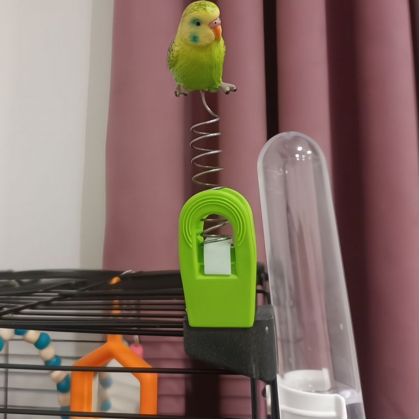Попугай игрушка на пружинке