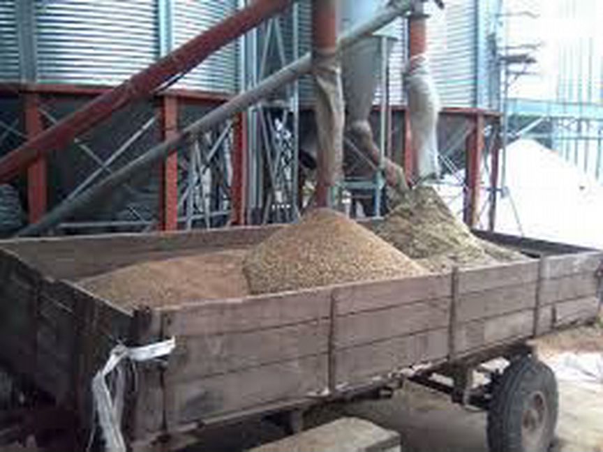 Зерновые отходы