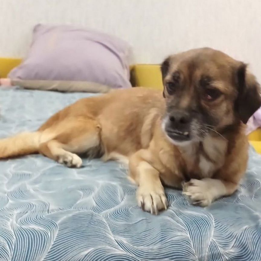 Не видела ничего хорошего в жизни