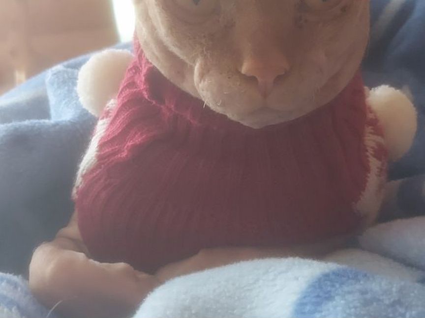 Встреча с дамочкой