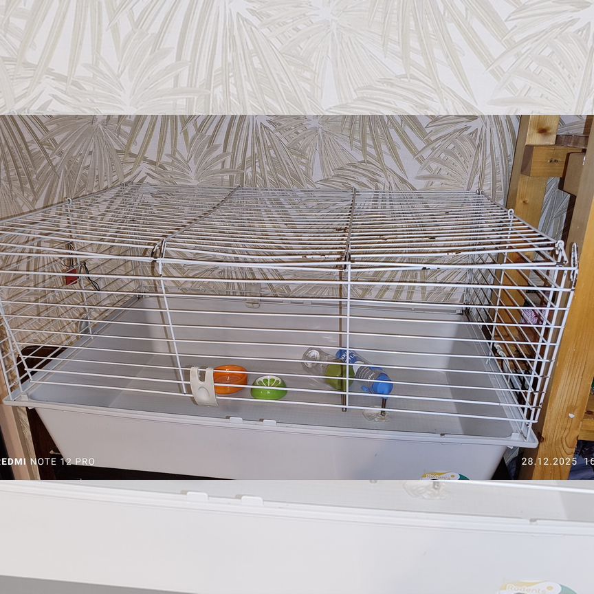 Клетка для грызунов ferplast rodents