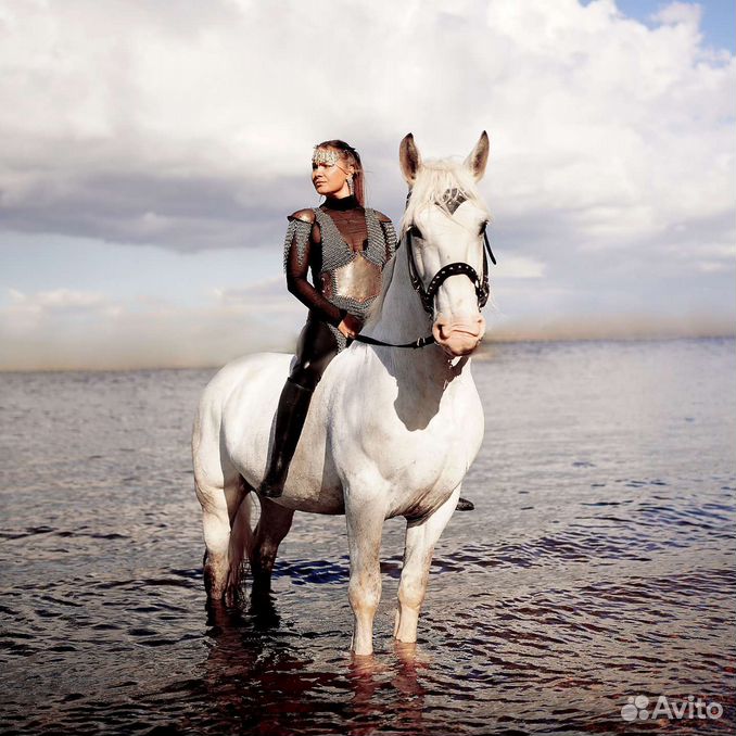 Мерин Першерон