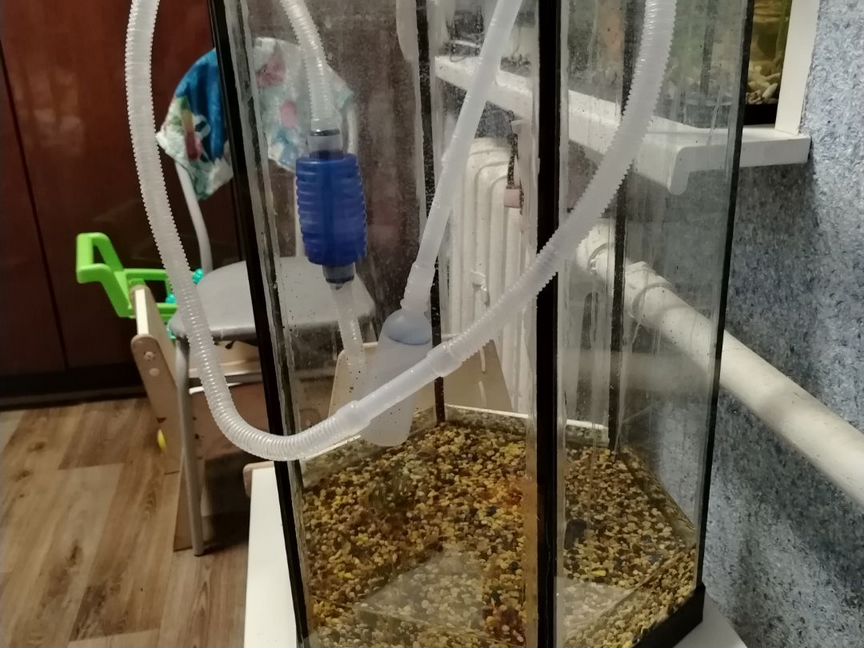 Аквариум
