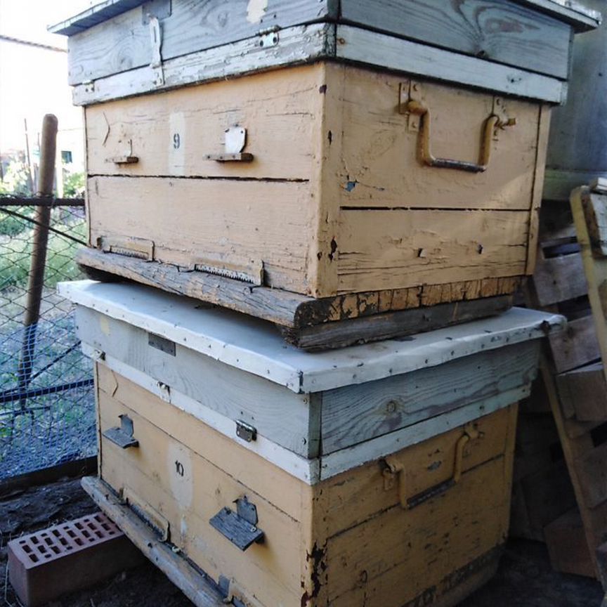 Ульи для пчел