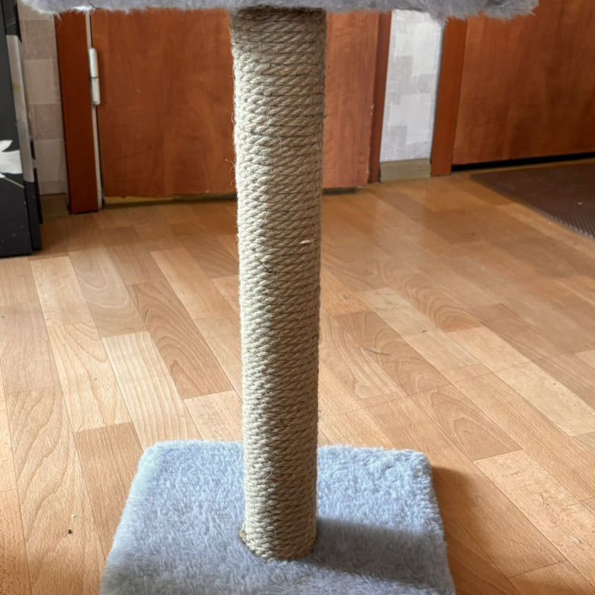 Когтеточка для кошек