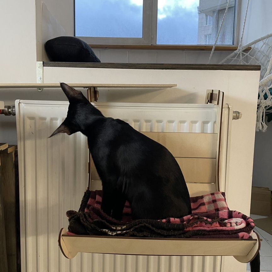 Гамак для кошек на батарею