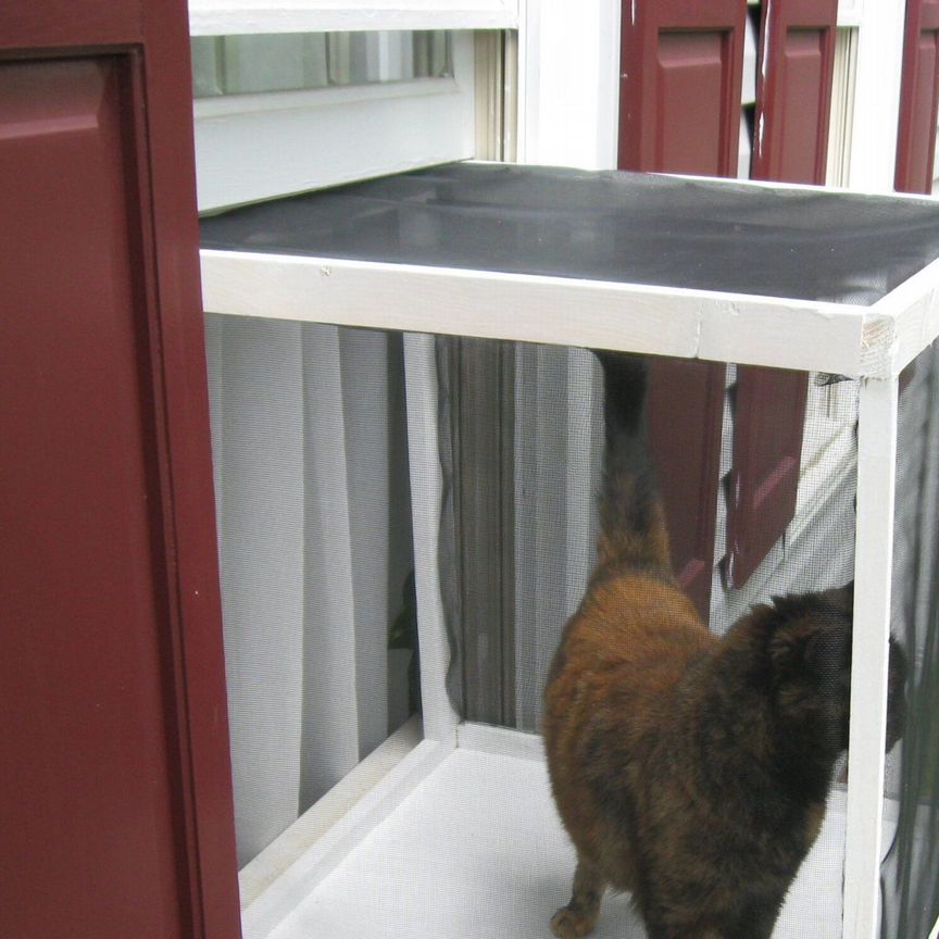 Вольер для кошек