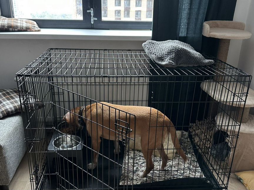 Клетка вольер для большой собаки