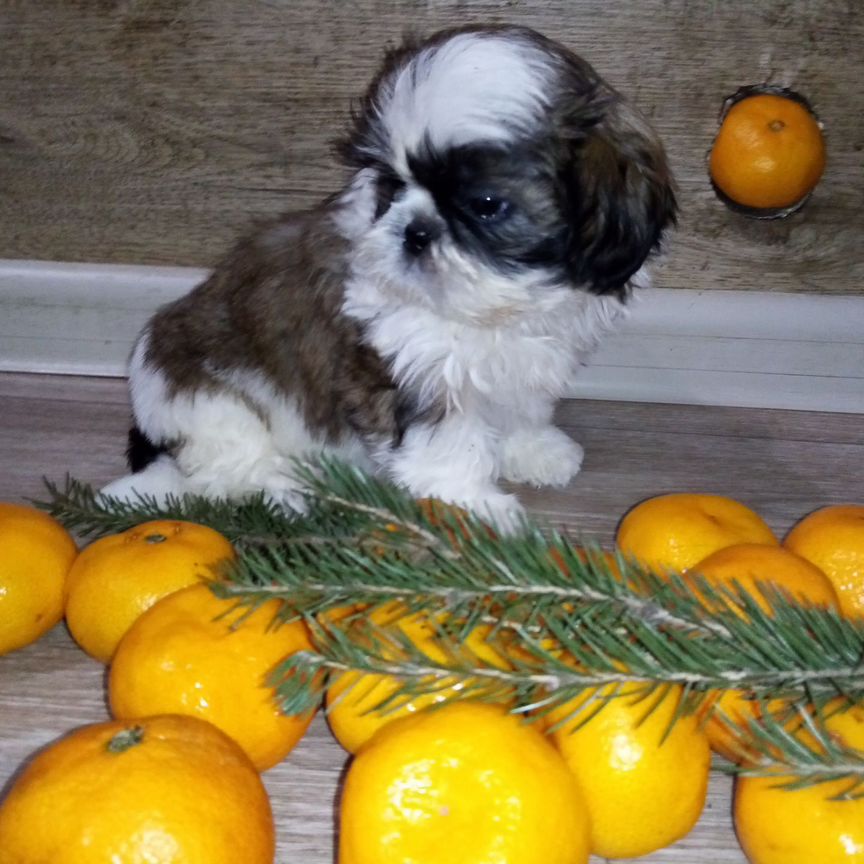 Новогодние подарочки