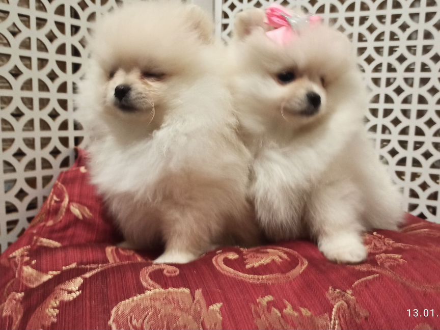 Три пушинки