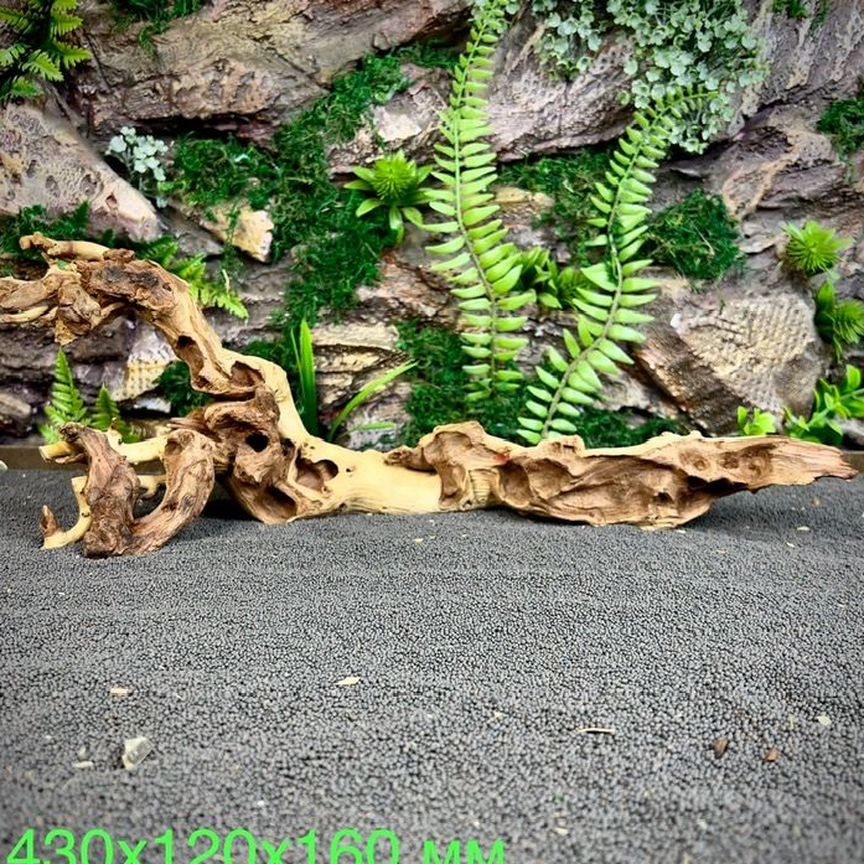 Коралловое дерево/Coral Wood кд685