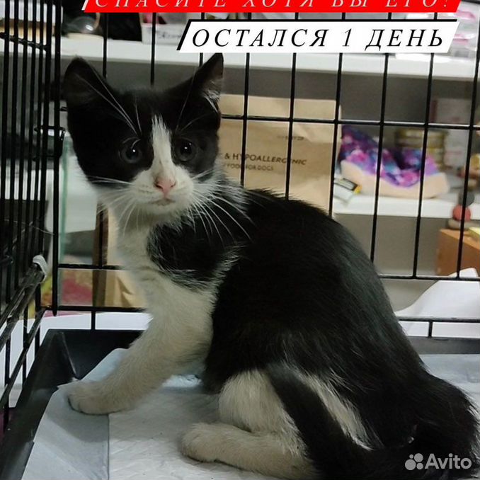 Завтра выкинут В подвал