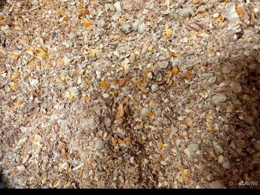 Кукурузные отходы