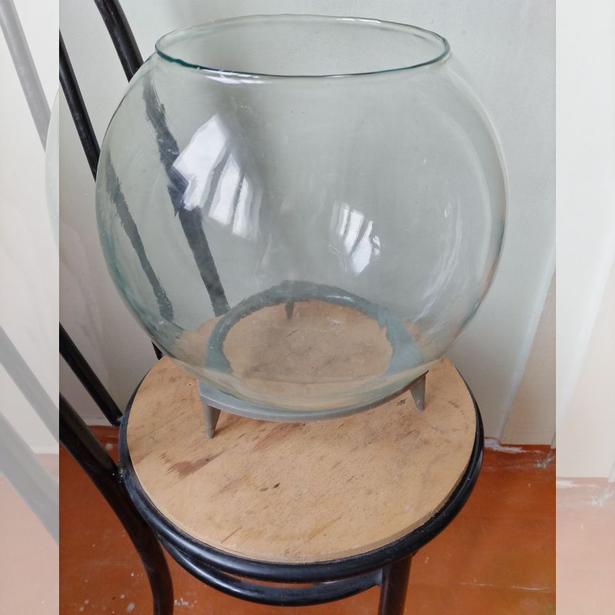 Аквариумные рыбки