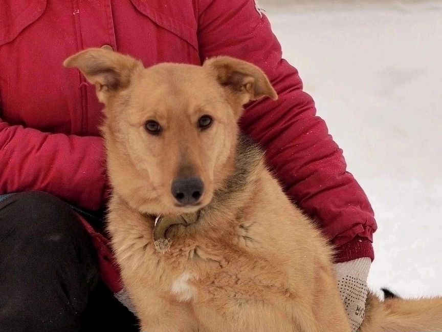 Огненный Валдай