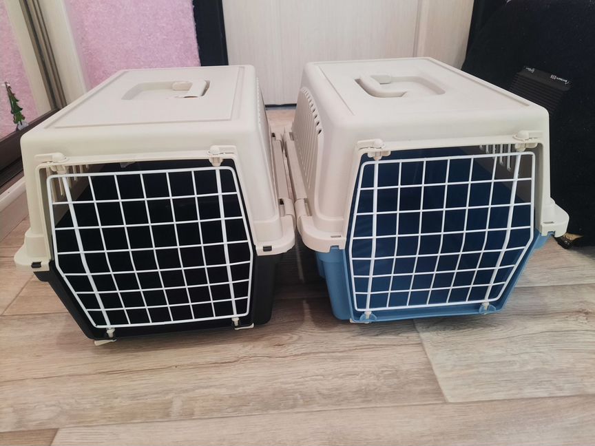 Переноска для животных (аренда)