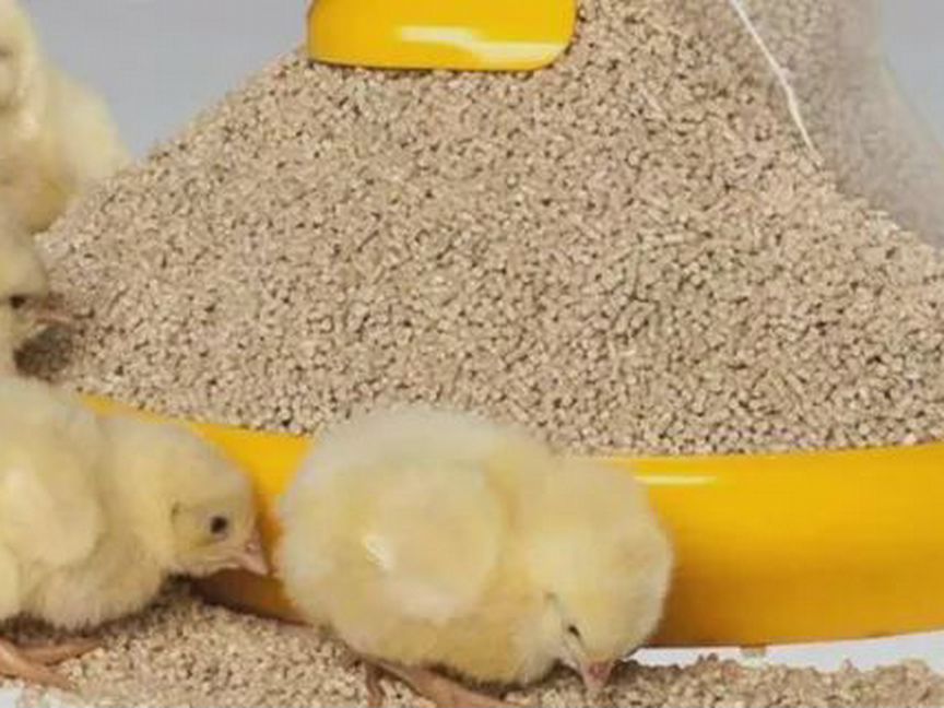 Комбикорм пк5-2 д бройлеров 1-4 нед (Кирова), 25 к