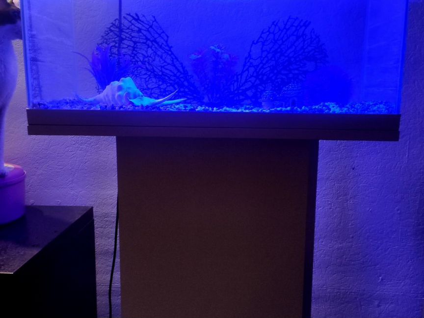 Аквариум белый с тумбой 54 л