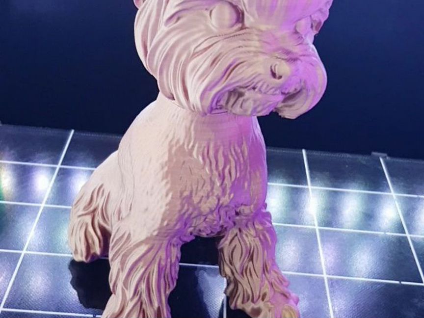 Йоркширскийтерьер(yorkshire terrier )