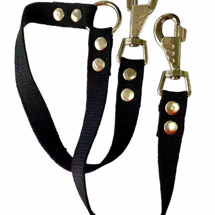 Ошейник на 2 собаки