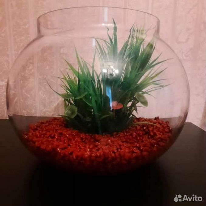 Шарообразный аквариум 12 литров