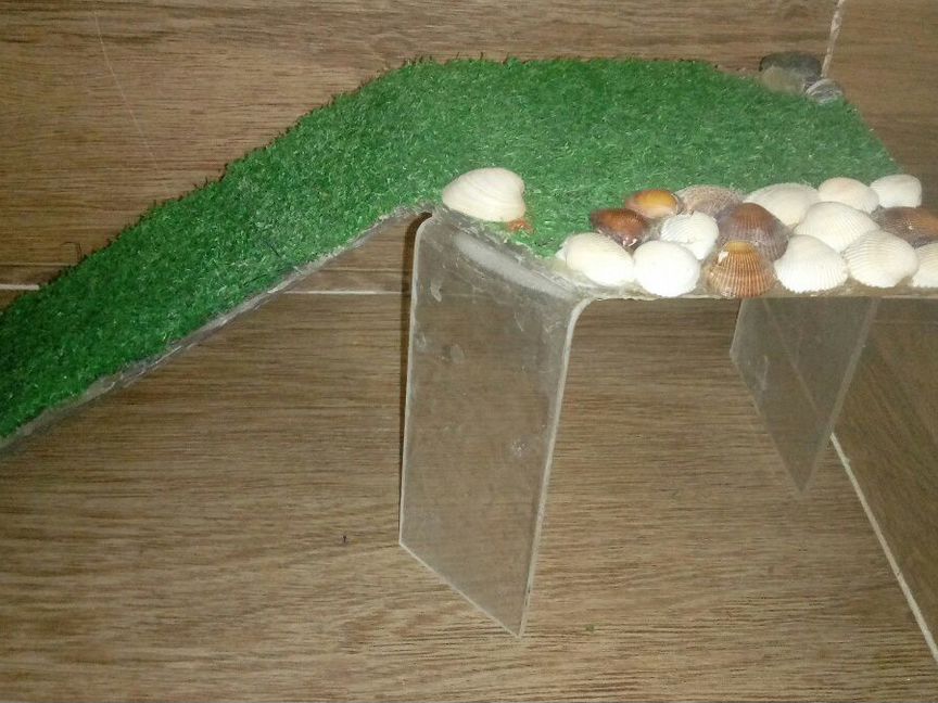 Трапик (грунт)