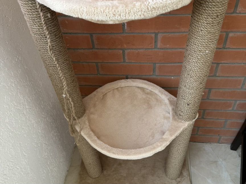 Когтеточка