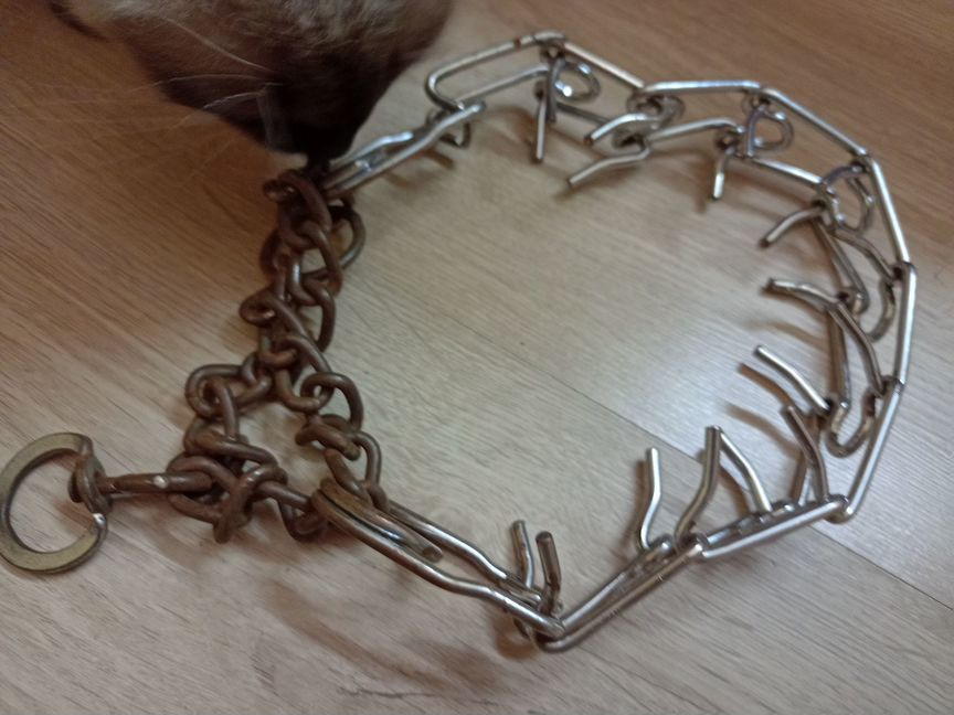 Ошейник строгий б/у