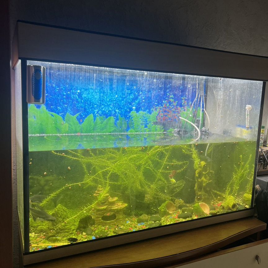 Аквариум с рыбками