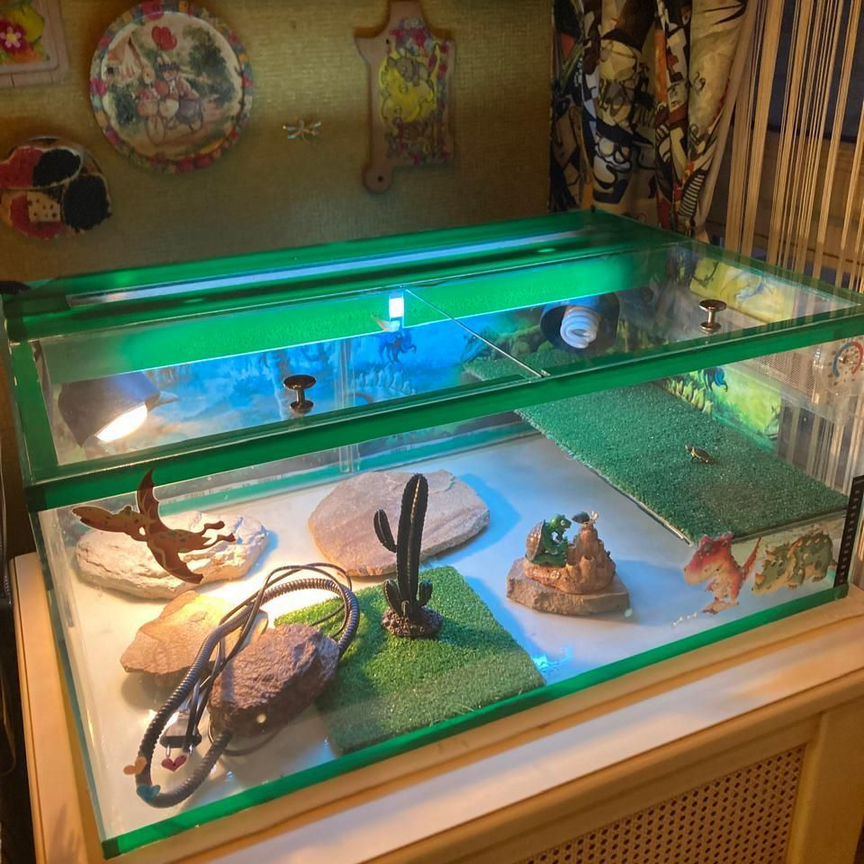 Террариум б/у