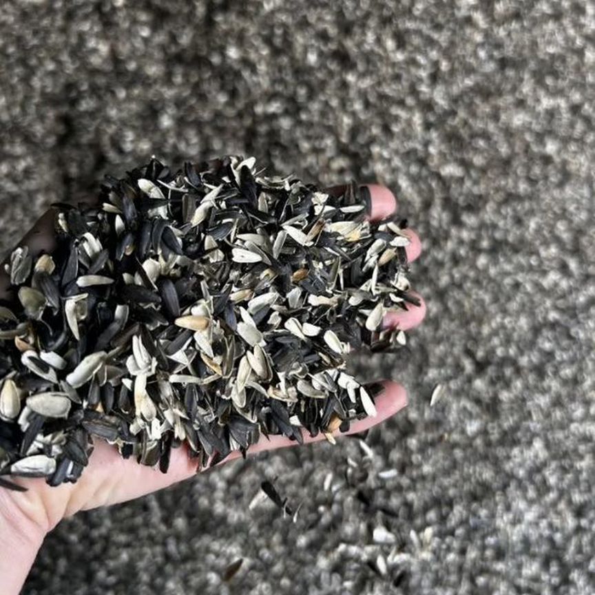 Лузга шелуха подсолнечника