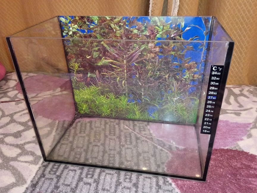 Аквариум 20 литров