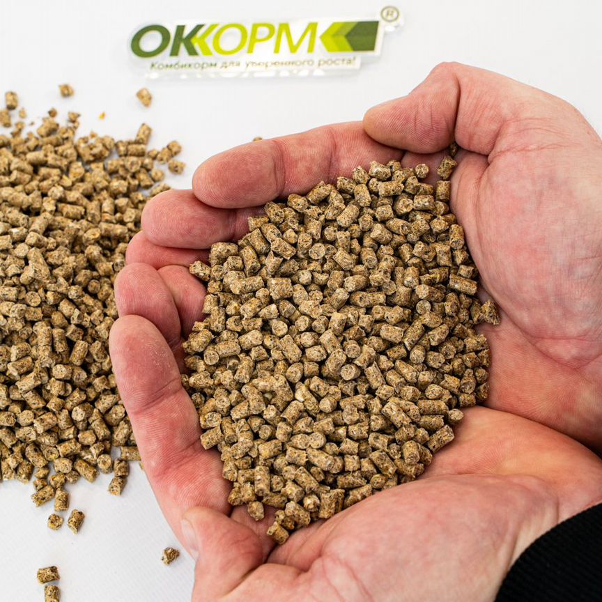 Комбикорма Оптом, Ищем дилера