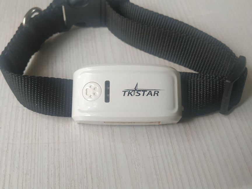 Gps ошейник для собак