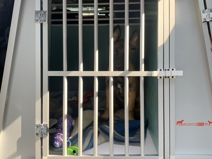 Клетка-бокс в машину