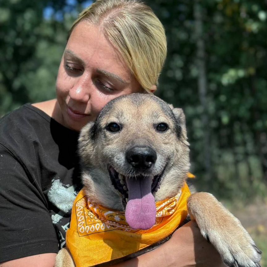 Яша, собака ищет дом