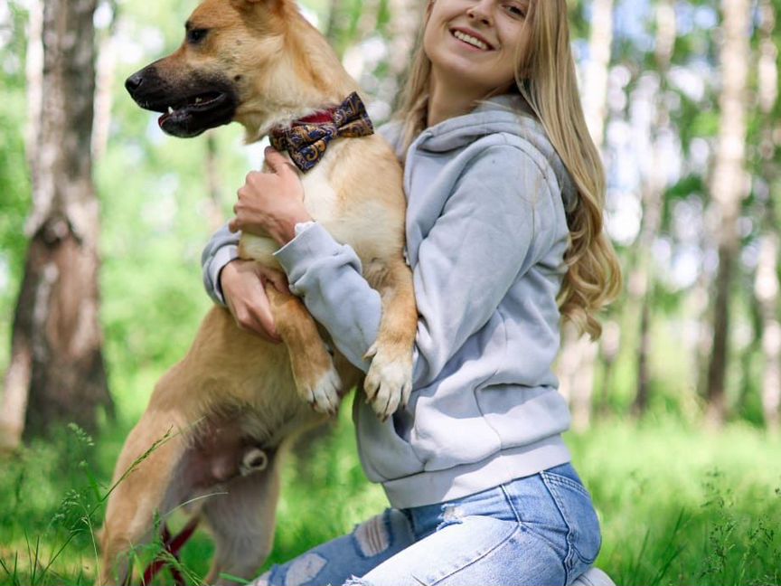 Замечательный коротколапик ищет дом