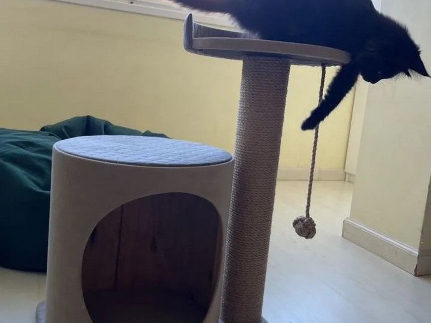 Домик для кошки D35