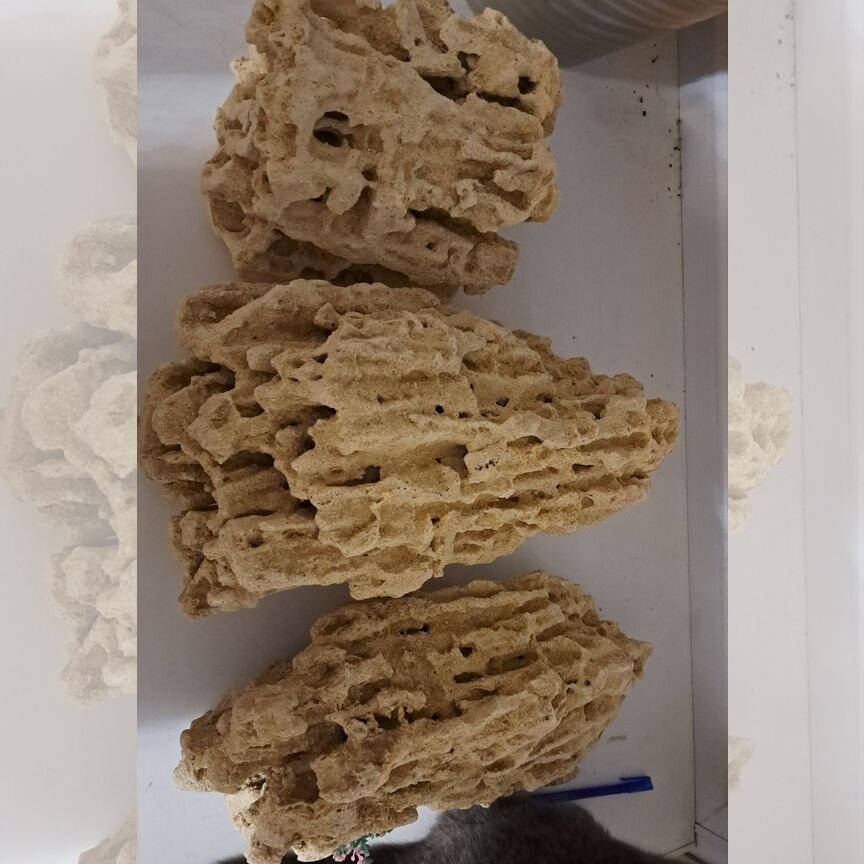 Камень пористый