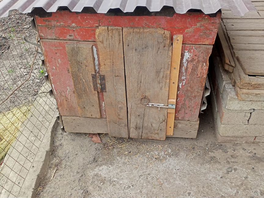 Будка для большой собаки
