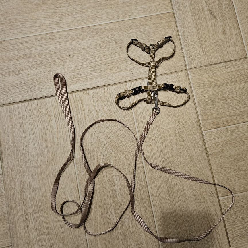 Поводок и шлейка для маленькой собаки или кошки