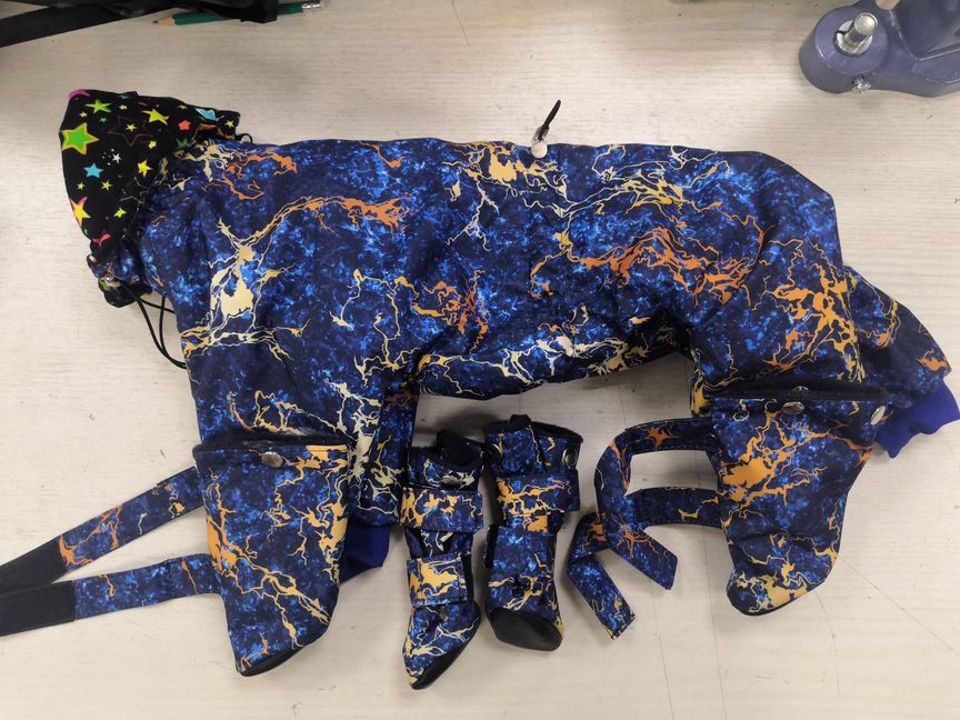 Комбинезон для собаки