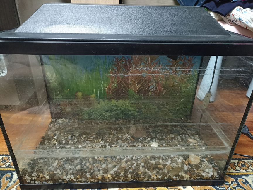 Аквариум с подсветкой 60 л