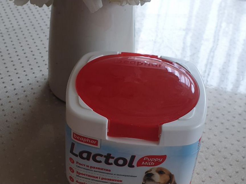 Сухое сучье молоко